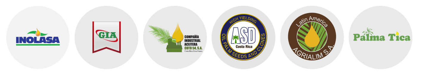 Quiénes Somos – Grupo Numar